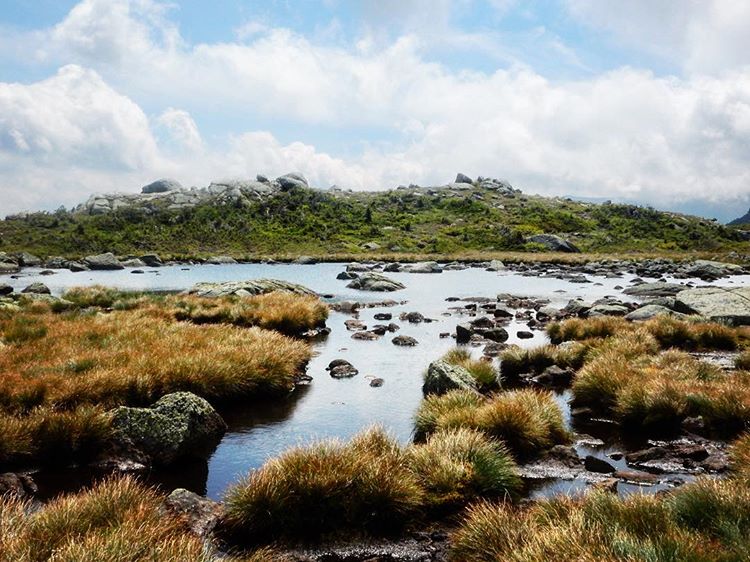 Landscape sample 11